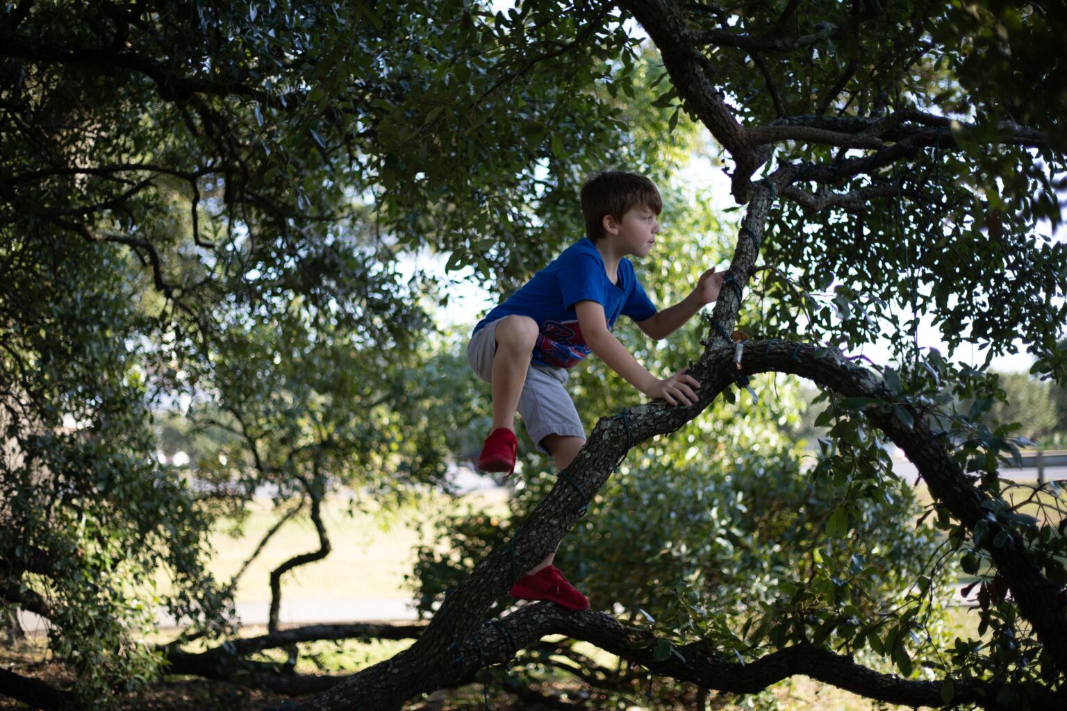 Scavenger Hunts: Boost Child Development Through Fun Activit